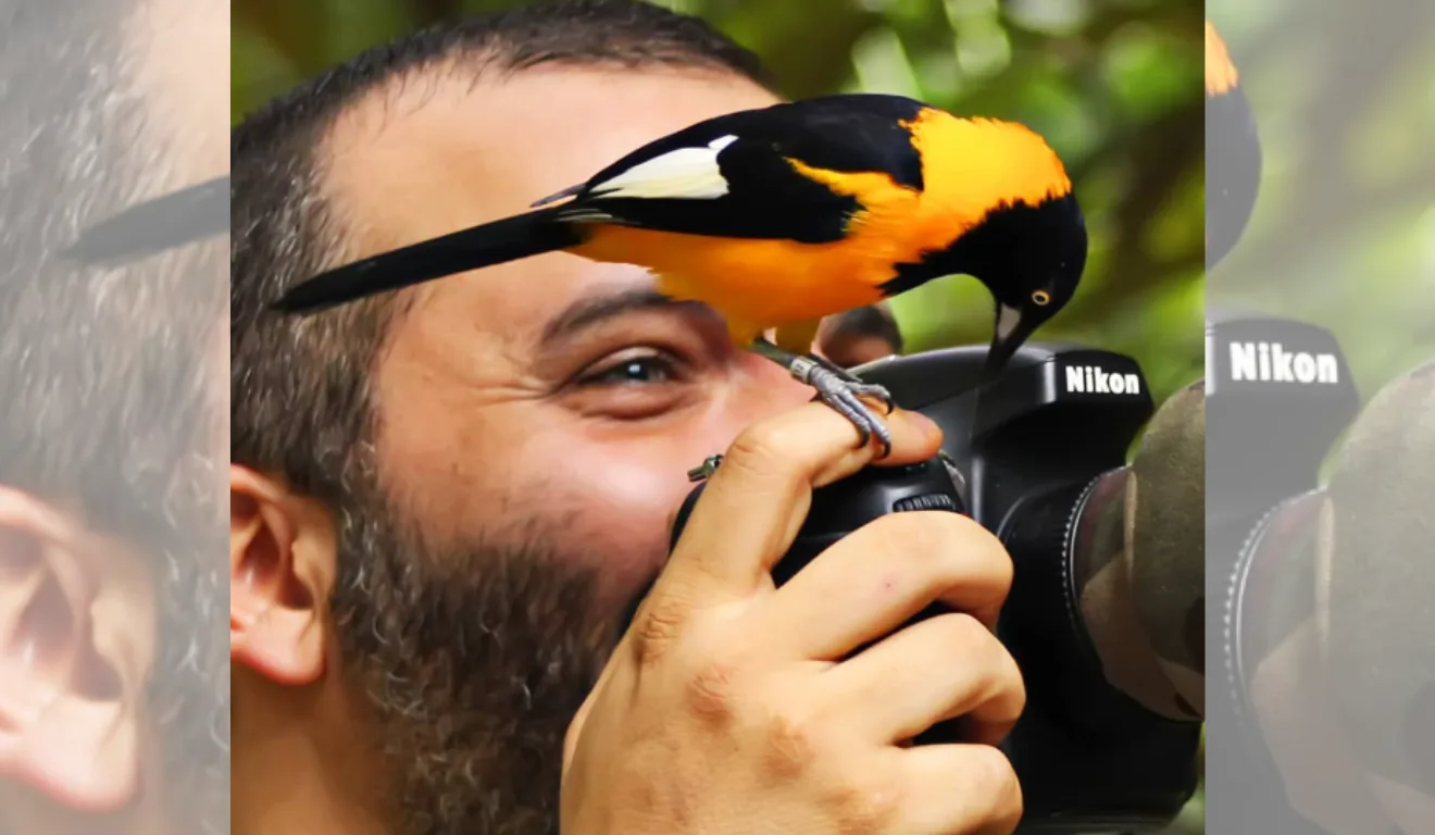 Revelações do fotógrafo de natureza Léo Merçon