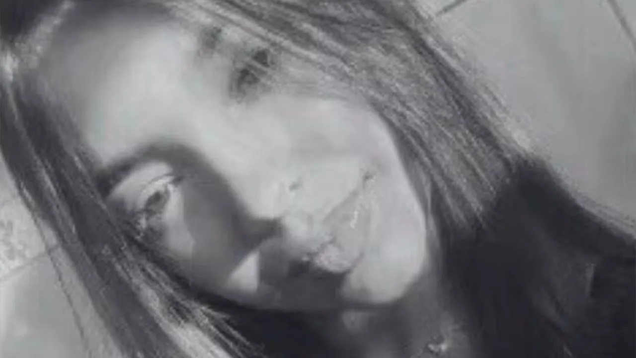 Caso Ana Luiza: o que acontecerá com adolescente que confessou ...