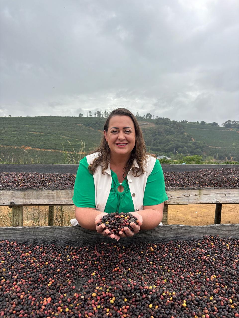 Café conilon do Espírito Santo: tradição, inovação e reconhecimento ...