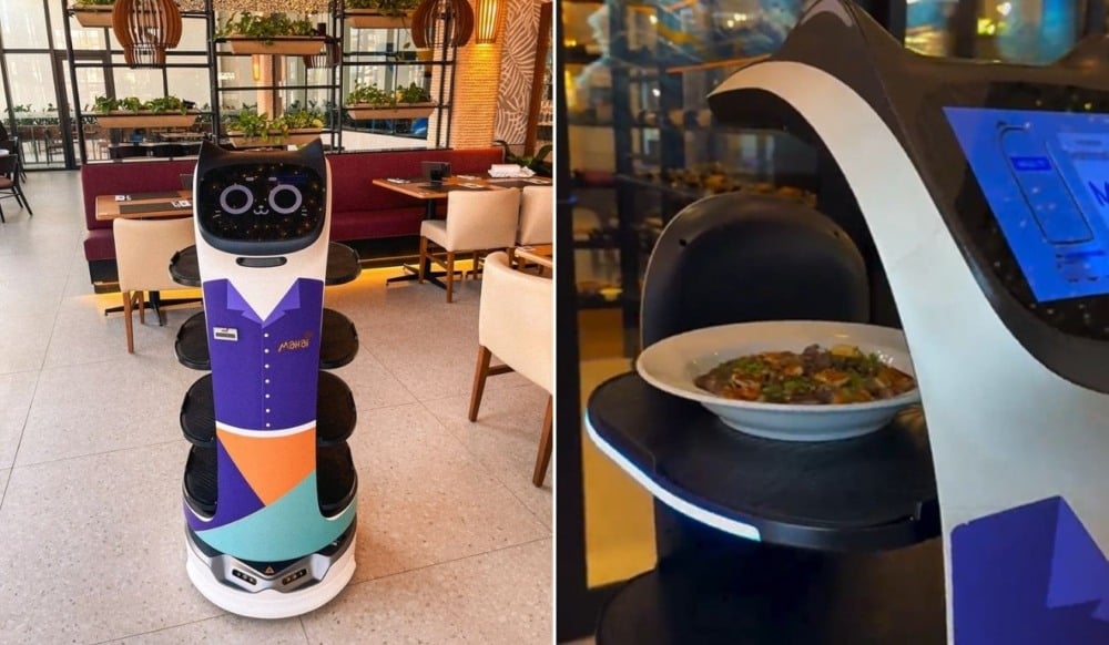 Robô-garçom já é realidade em restaurante da Serra